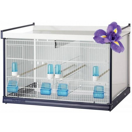 Iris ART.80 | Italgabbie